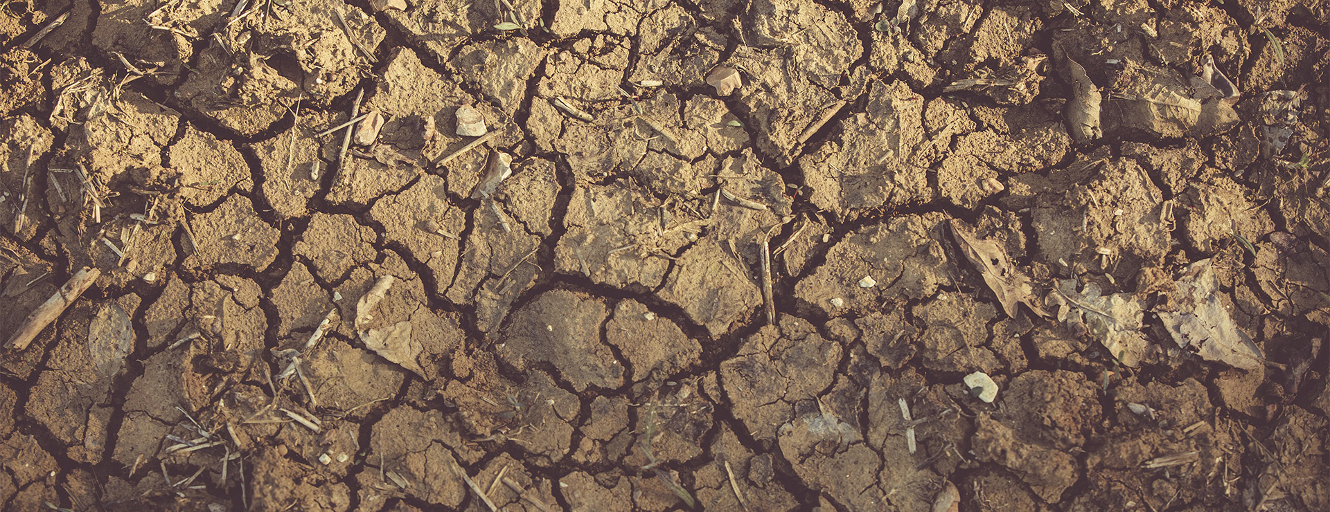 Waterschaarste: een ver-van-mijn-kot-show? - Humanistisch Verbond